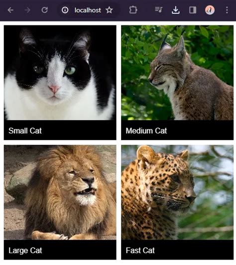 Very Simple Nodejs Express Video Gallery Free Download
