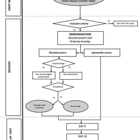 Flow Chart D10 10th Day Postpartum FSFI Female Sexual Functional Download Scientific