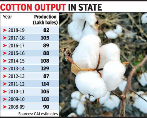 Gujarats Cotton Output To Hit One Decade Low This Year Ahmedabad