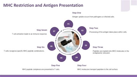 Mhc Polymorphism Ppt Template Acp Ppt Template