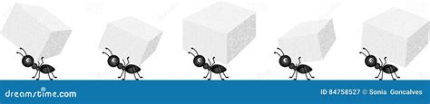 Ant Carrying Sugar Cube Vector Illustration 35667946