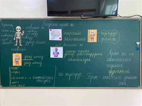 Хүн ба байгаль “Бидний араг яс” Орших багш Orshih Bagsh Facebook