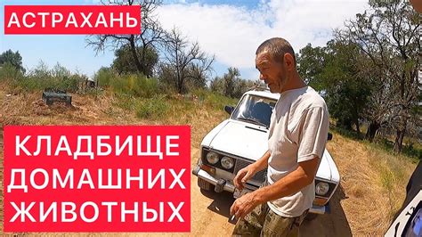 КЛАДБИЩЕ ДОМАШНИХ ЖИВОТНЫХ АСТРАХАНЬ Youtube