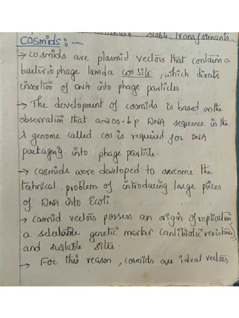 Codmid Lambda Phage Vector M13 Phage Pdf