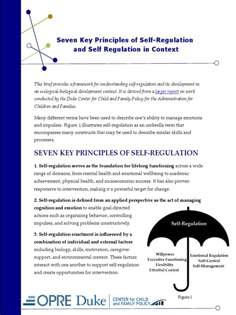 Seven Key Principles Of Self Regulation And Self Regulation In Context
