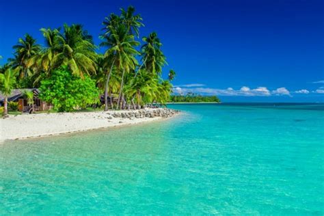 fiji an open source image processing software for scientific tasks