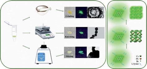 Three Solid Phase Synthesis Methods And Schematic Diagrams Of The Download Scientific Diagram