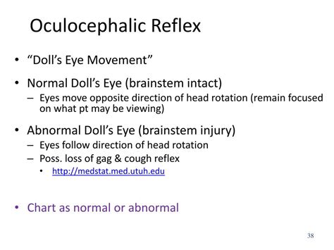 Ppt Traumatic Head Injury Powerpoint Presentation Free Download Id