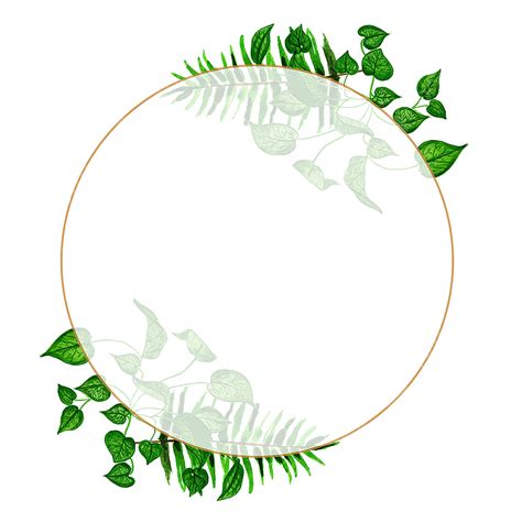 รูปกรอบใบไม้สีเขียว Png ภาพกรอบใบไม้สีเขียวpsd ดาวน์โหลดฟรี Pngtree