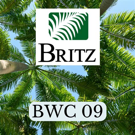 Palmwachs Bwc 09 Freistehende Kerzen Aus Gussformen Frost Effekt