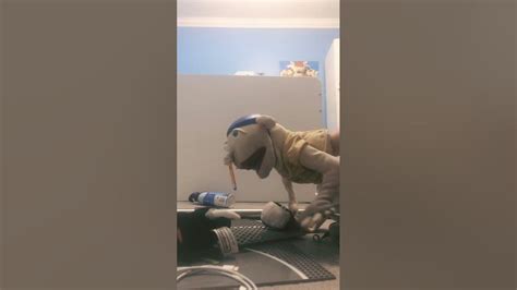 Jeffy Teaches Bully Youtube