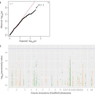 Univariate Logistic Regression Results A Qq Plot And B Manhattan