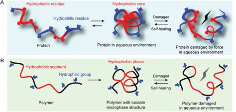 Protein‐inspired Polymers With Tunable Microphase Structures Toward Autonomous Self‐healing In