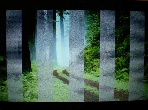 Laptop Screen Glitch Windows Forums
