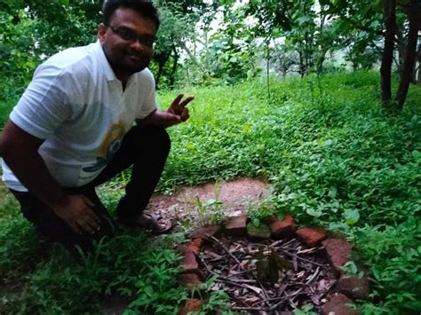 Sarthak Shrivastava On Linkedin Monsoonplantation