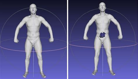 Github Neginbagherzadi Deformable Shape Completion