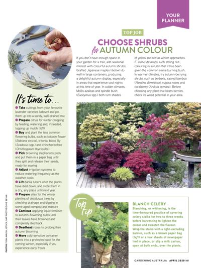 Gardening Australia Mymagazines Subscribe Online And Save