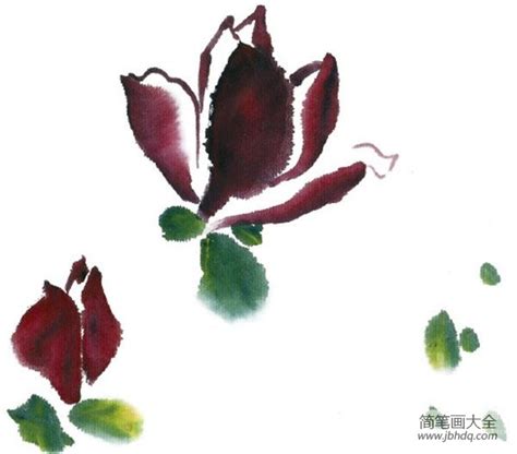 水墨紫玉兰的绘画技法 学院 摸鱼网 Σ っ Д っ 让世界更萌 mooyuu