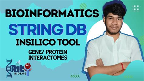 String Bioinformatics In Silico Tool Protein Gene Networking Youtube