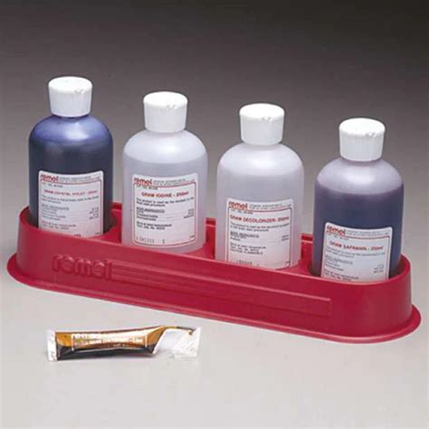 Gram Stain Kit Dipalabs