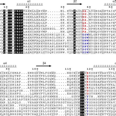 The Multiple Sequence Alignment The Plot Shows The Structure Based