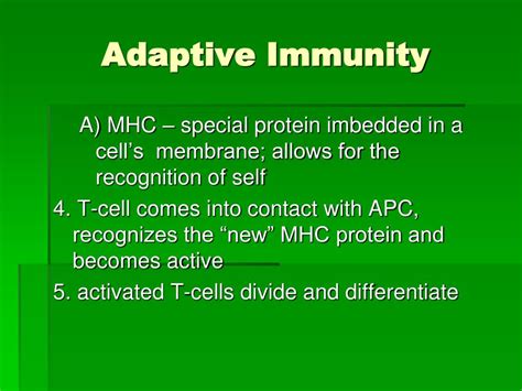 Ppt Adaptive Immunity Powerpoint Presentation Free Download Id 1759372