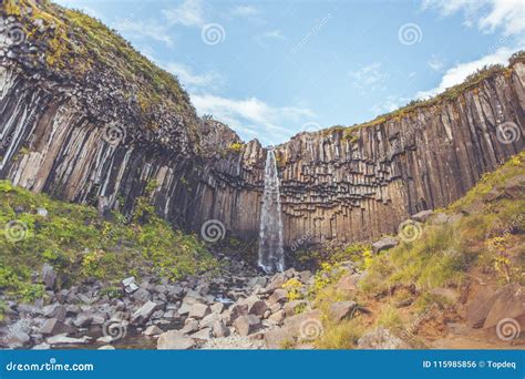 Cascada De Svartifoss En Islandia Foto De Archivo Imagen De Cascada