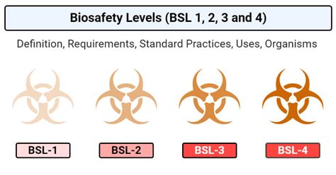 Biosafety Levels Bsl 1 Bsl 2 Bsl 3 And Bsl 4 Microbe Notes