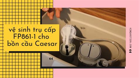 Kimquoctiencom I Hướng Dẫn Vệ Sinh Trụ Cấp Caesar Fp861 1 Của Bồn Cầu