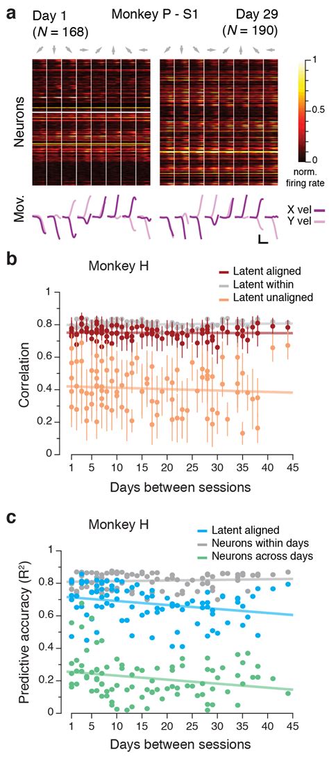 Figure S7 Additional Data S1 Alignment And Decoding A Peristimulus