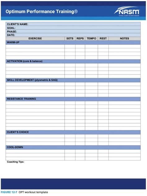 Master The NASM OPT Model In Your Ultimate Guide