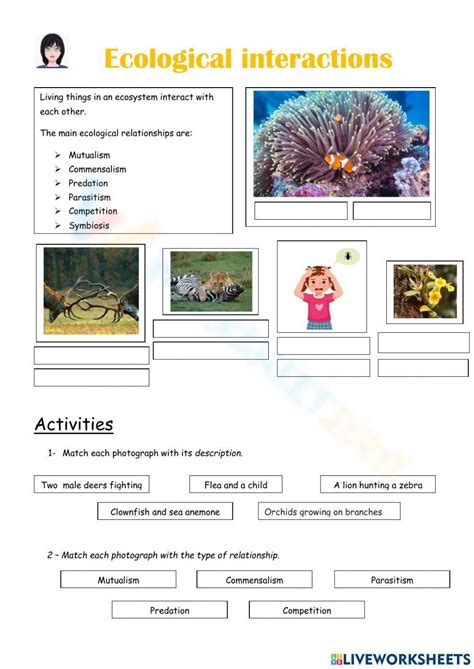 Ecological Interactions Worksheet Ecological Interactions Worksheet