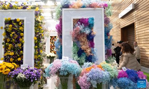 2024 Intl Floriculture Trade Fair Held In Netherlands Global Times