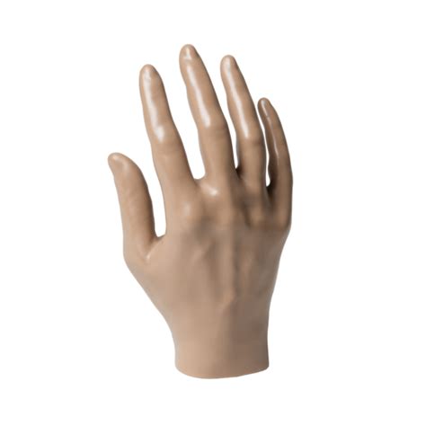 Passive Hand Female Prominent Skin Structure Fillauer Website