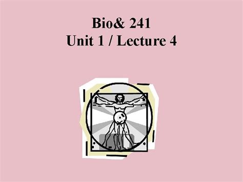 Bio 241 Unit 1 Lecture 4 Introduction To