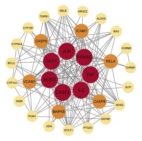 Further Topological Analysis Of 32 Overlapping Target Genes Seven Core
