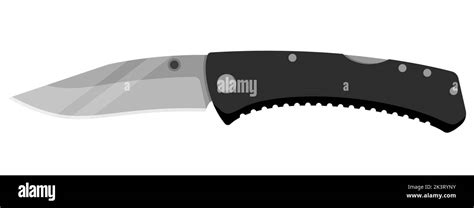Jackknife Cute Jackknife Isolated On White Background Vector