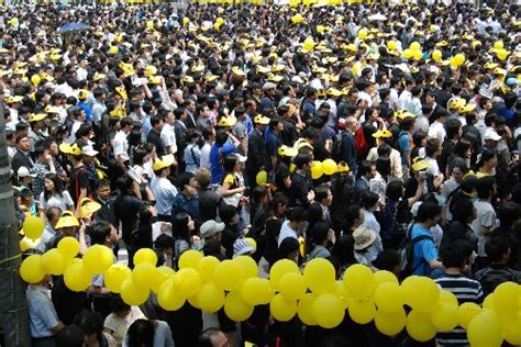 12 노란색의 물결 오마이포토