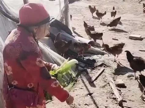 85歲馬玉琴回老家，被姐姐安排蹲門口摘花生，網友過分了