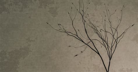 나뭇 가지가있는 꽃병이있는 나무 테이블 사진 Unsplash의 번역하다 이미지