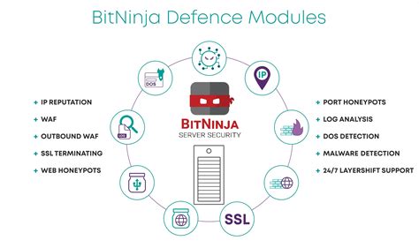 Enscale And Bitninja Advanced Server Security Enscale And Bitninja Advanced Server Security
