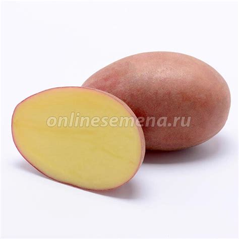 Картофель семенной Манифест (элита) (3кг) НОВИНКА! из каталога ...