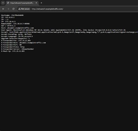 Docker Macvlan For Traefik Analytics In Grafana Dashboards Marcus Holtz