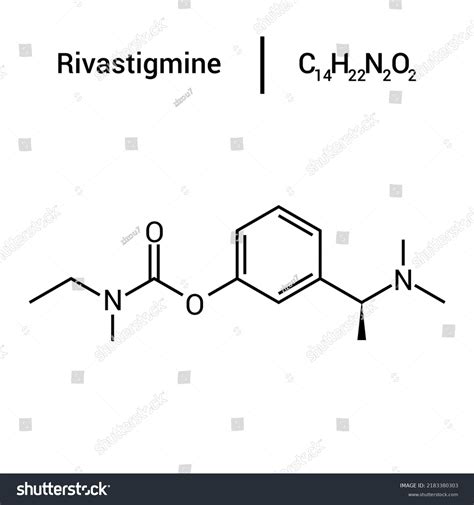 Chemical Structure Rivastigmine C14h22n2o2 Stock Vector Royalty Free