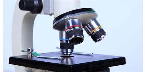 光学显微镜的使用方法360新知