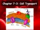 Biology Chapter Cell Structure And Function Powerpoints And Guided Notes