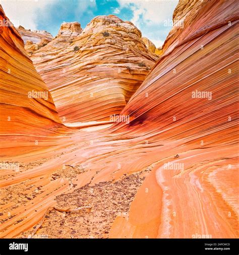 Sandstone Canyon In The Wave Area Of The Paria Canyon Vermillion Cliffs