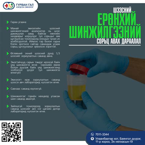 Цочмог пиелонефрит буюу бөөр шээсний замын халдвар