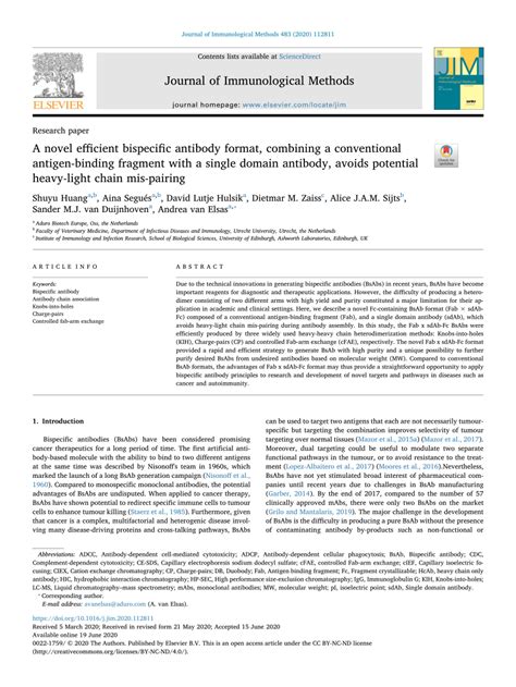 Pdf A Novel Efficient Bispecific Antibody Format Combining A Conventional Antigen Binding