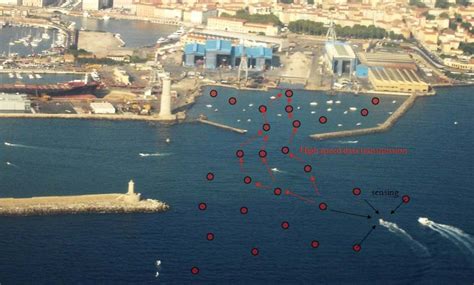 An Example Of Using A Swarm Robot For Arbour Surveillance Download